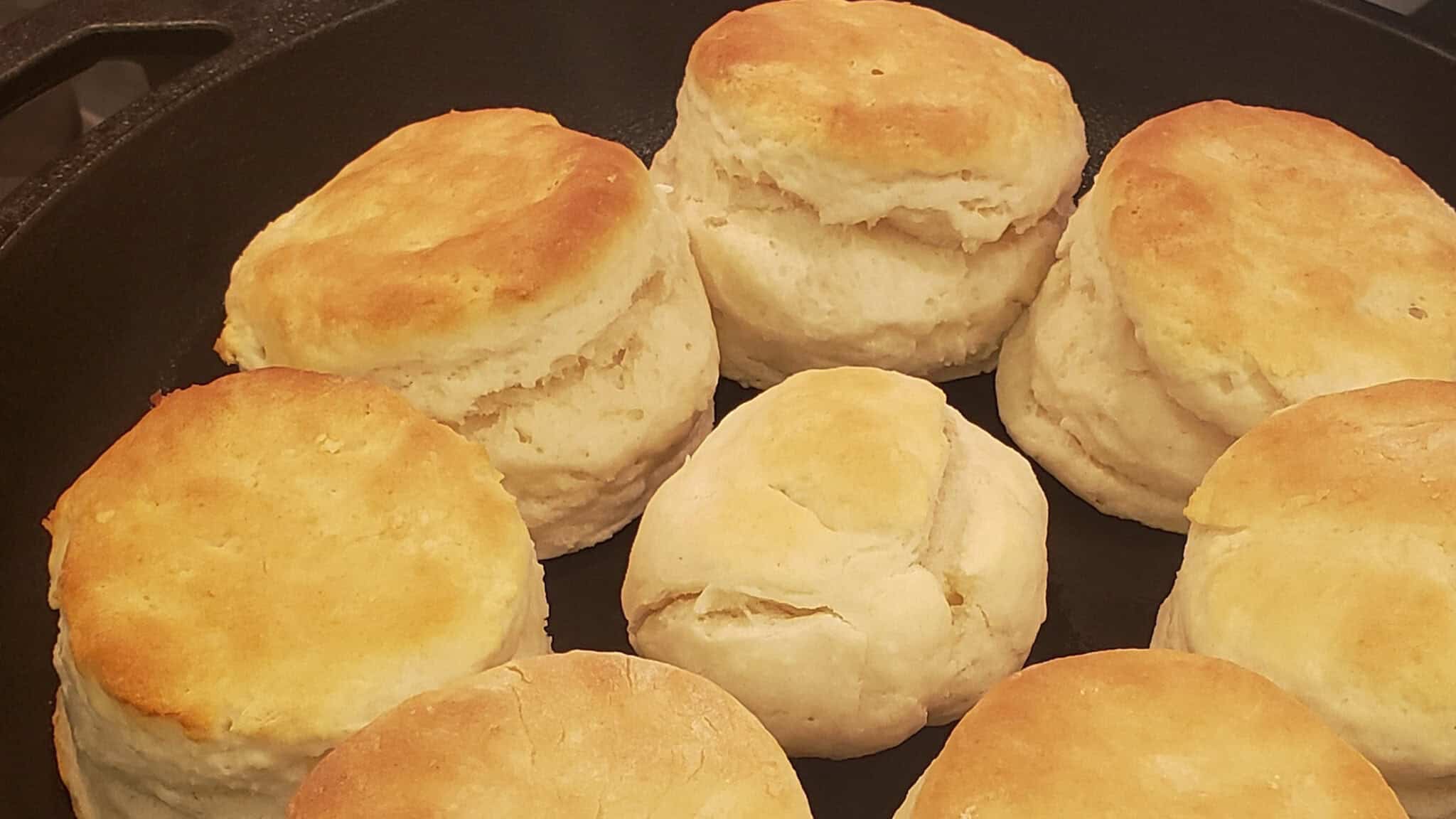 Old Fashioned Southern Biscuits (Ready in Just 20 Minutes!) - Amy Ever ...
