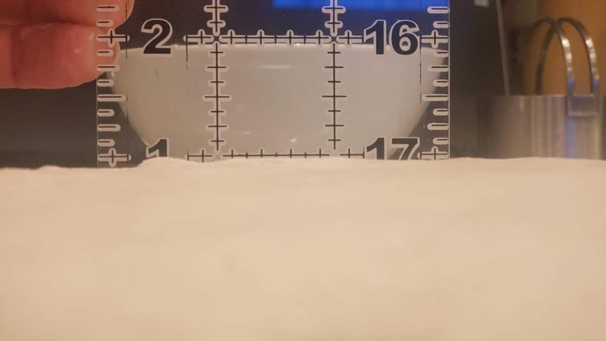 How to Make the Best Biscuits (Tips for ANY Biscuit Recipe!) | Amy Ever ...