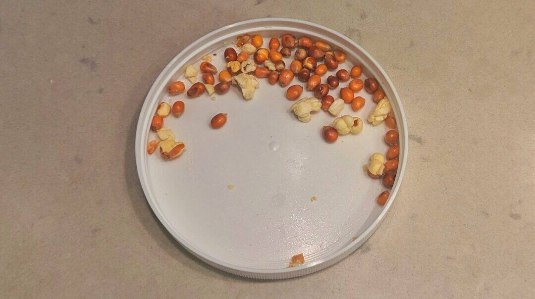 How to Use a Popcorn Sifter Bowl So That It Actually Works | Amy Ever After